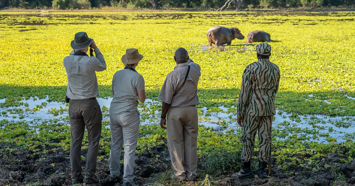 Nkwali Camp and Robin's House (South Luangwa) – Africa A-Z