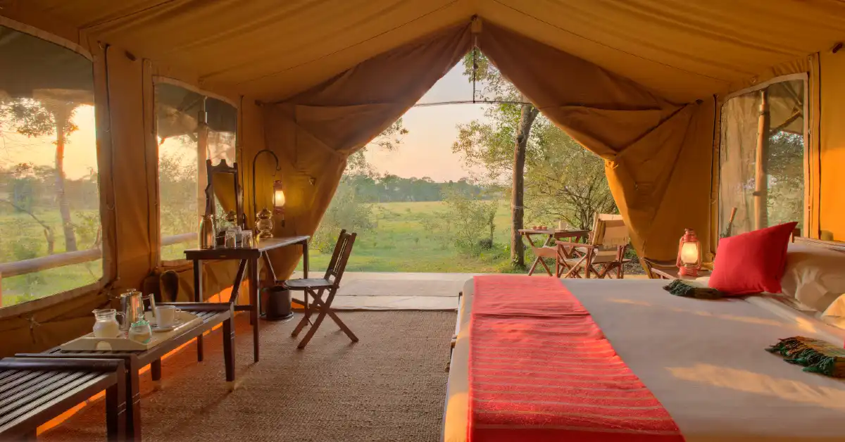 Elephant Pepper Camp (Masai Mara) – Africa A-Z