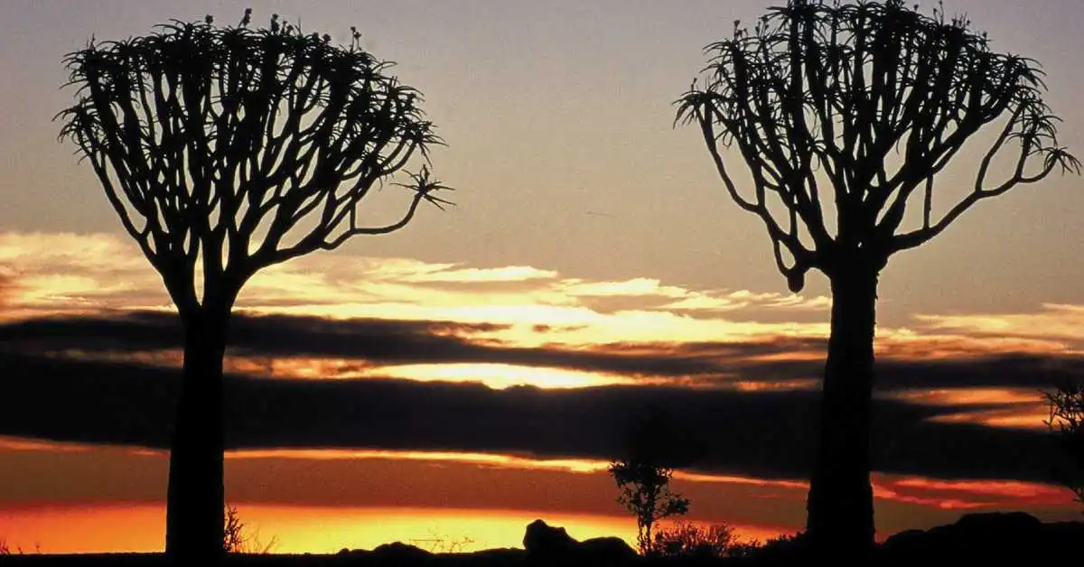 Fish River Canyon in Namibia – Explore – Africa A-Z